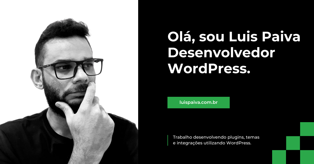 Luis Paiva - Desenvolvedor